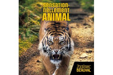 Zoo de Beauval Tarifs CE Enfant Horaires Billet